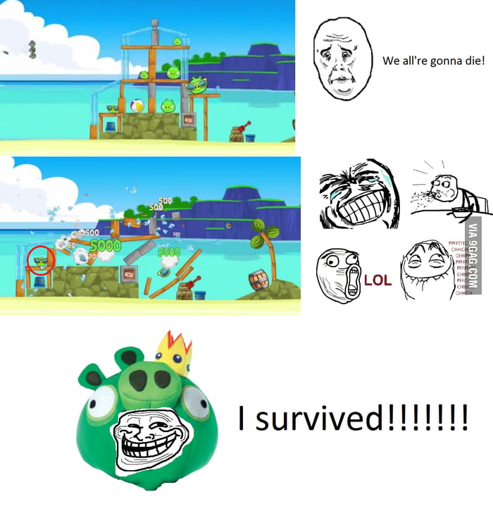 Typical Angry Birds troll - 9GAG