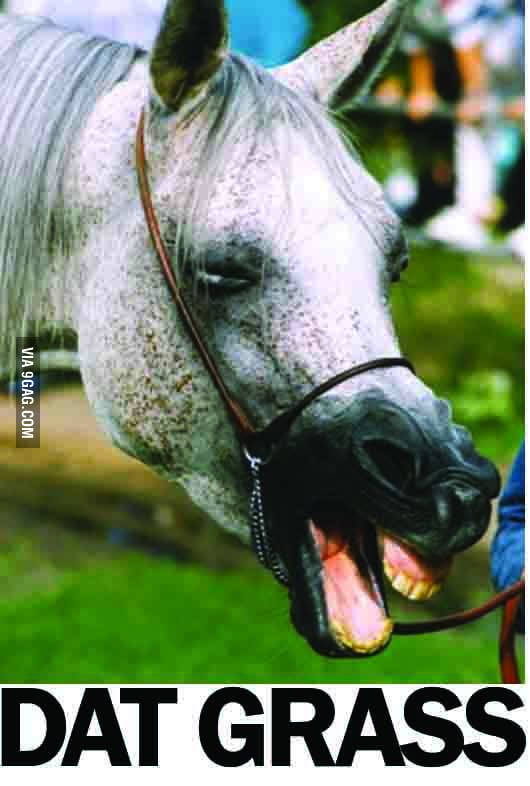 DAT GRASS! - 9GAG