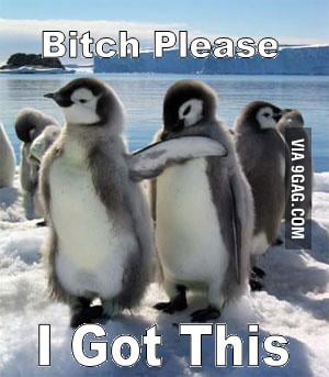 Just one Badass Penguin... - 9GAG