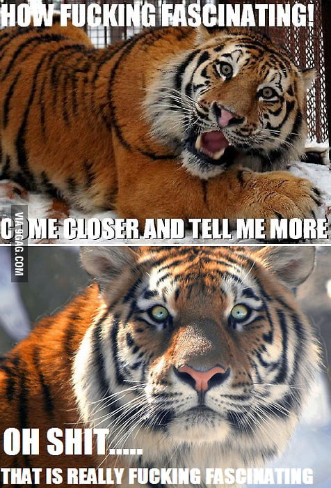 OH so fascinating - 9GAG