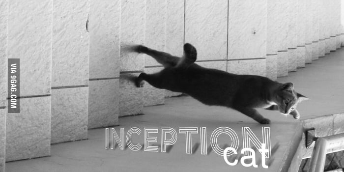 Inception cat - 9GAG