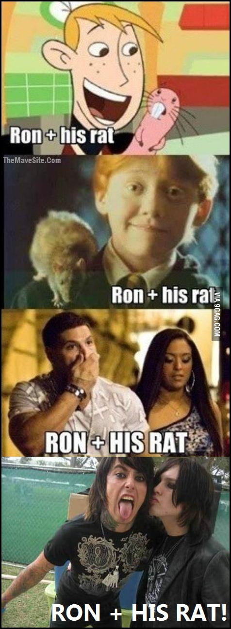 OH LOOK! Ronnie and his rat:O! - 9GAG