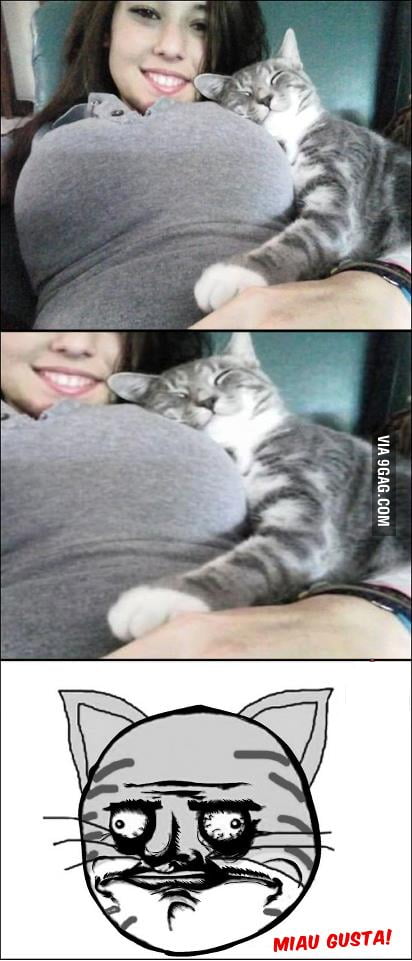 Epic cat is epic... - 9GAG