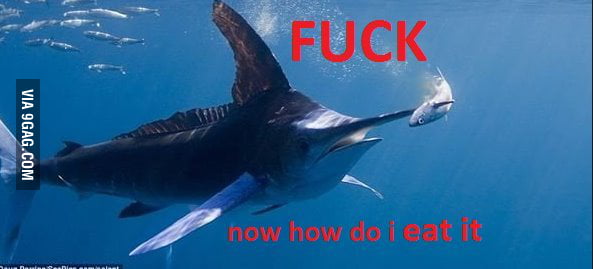 Silly fish - 9GAG