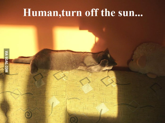 Turn off the sun - 9GAG