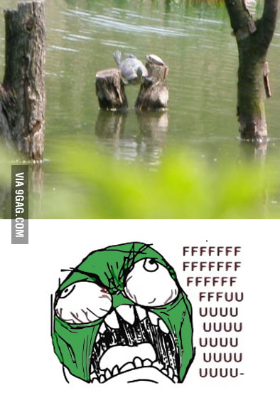 FUUUUUUUUUU - 9GAG