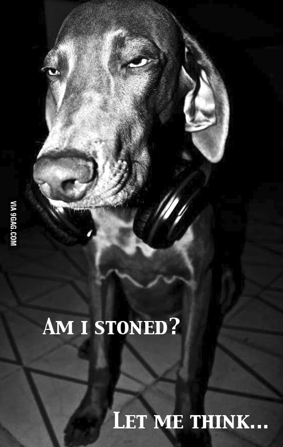 Let me think. - 9GAG