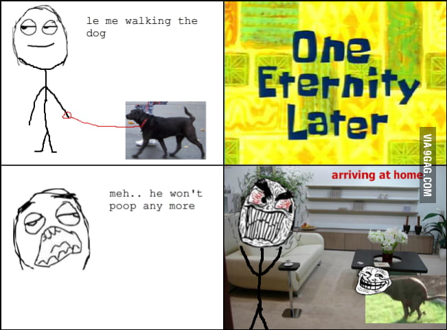 Trolling dog - 9GAG