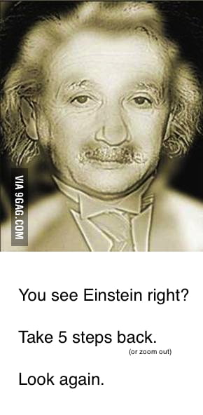 Albert Einstein or Marilyn Monroe? - 9GAG
