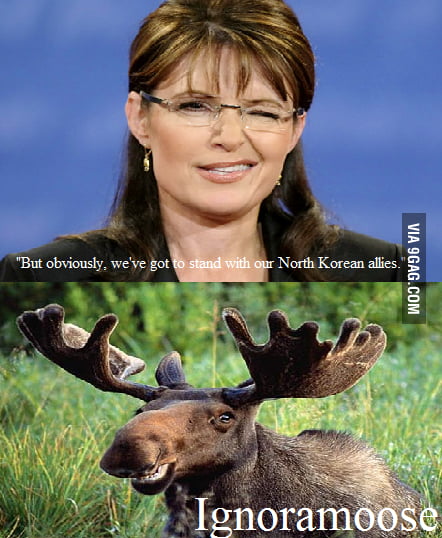 Ignoramoose! - 9GAG