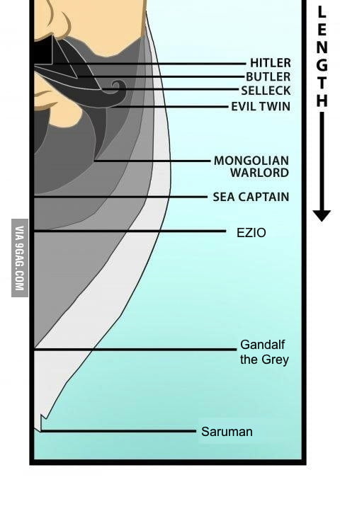 Beard epicness [Fixed] - 9GAG