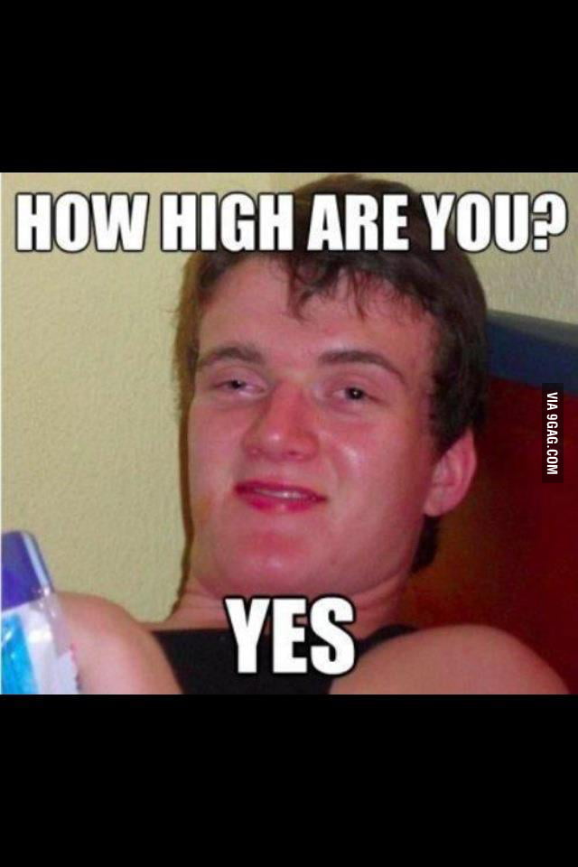 Very, very high! - 9GAG