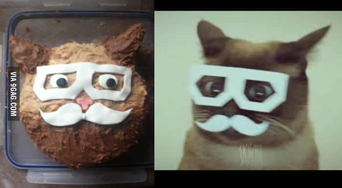 Dubstep cat - 9GAG