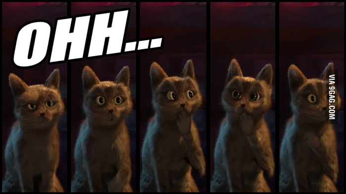 Just an Ohh Cat wallpaper - 9GAG