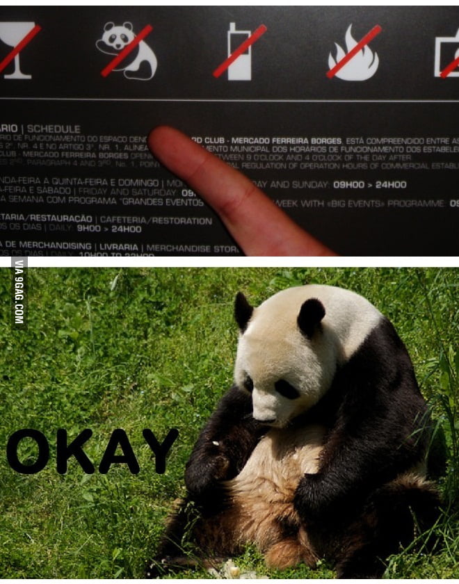 No Pandas - 9GAG