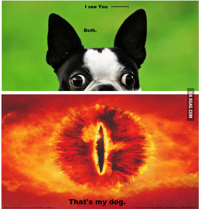 I see you dog - 9GAG