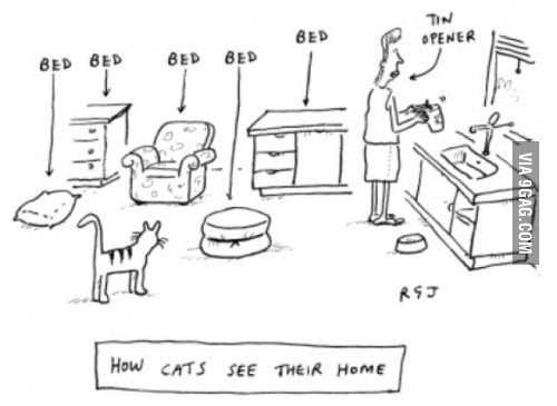 So many beds, so little time - 9GAG