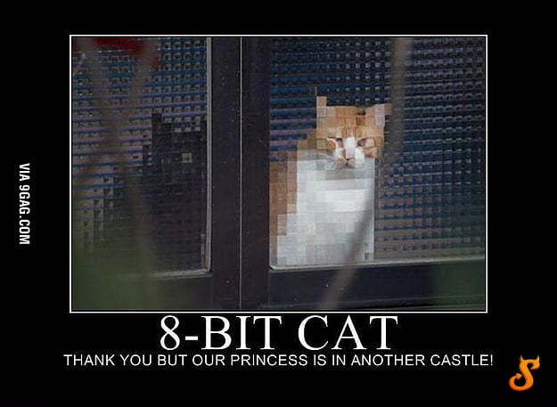 Dat graphic engine... - 9GAG