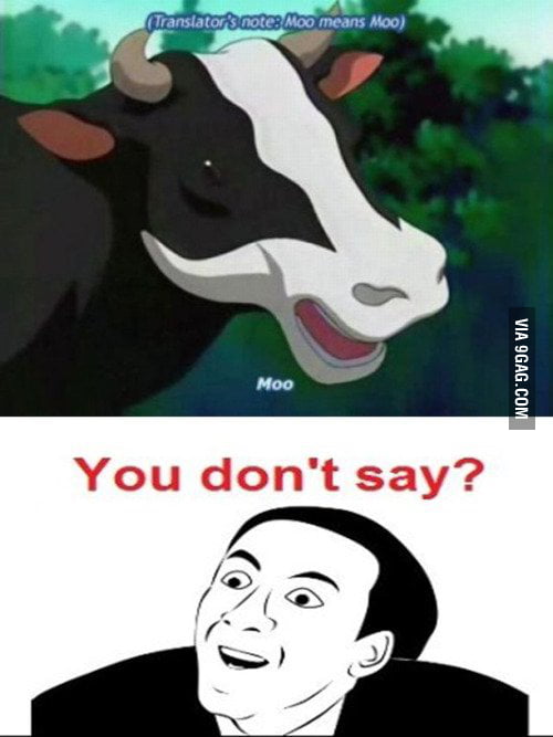 Moo means "moo" - 9GAG