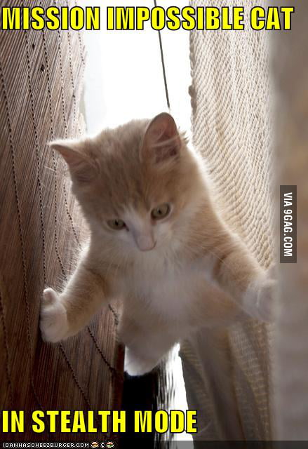 Cat mission impossible - 9GAG
