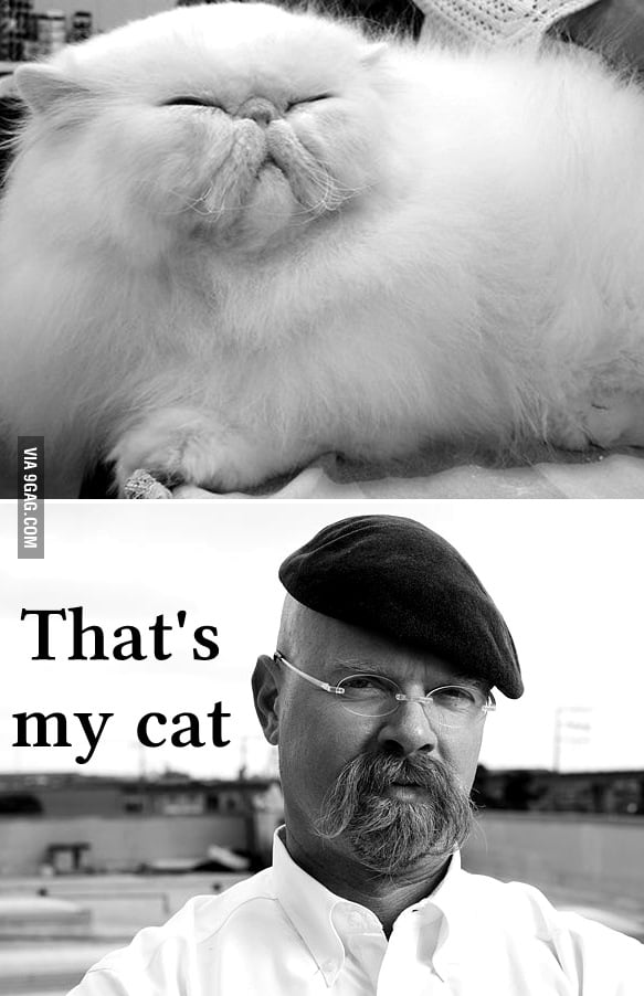 Yep, his cat. - 9GAG