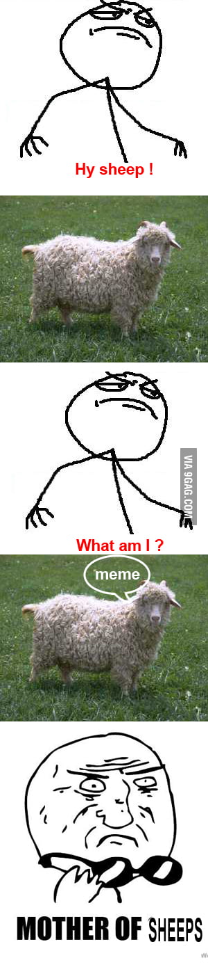 Sheep meme - 9GAG