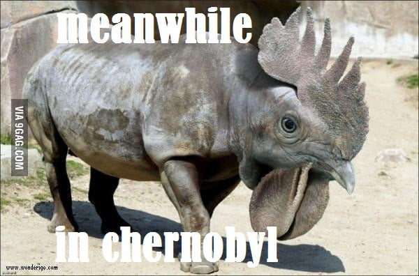 Meanwhile in chernobyl - 9GAG