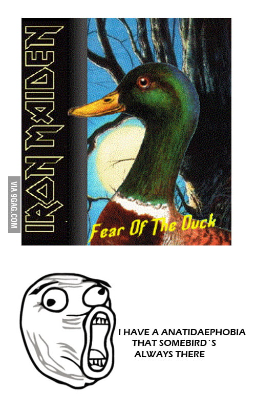 FEAR OF THE DUCK!!! - 9GAG