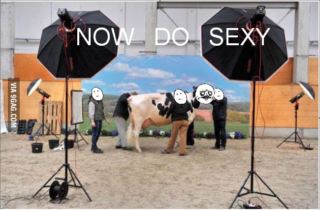 Sexy cow - 9GAG