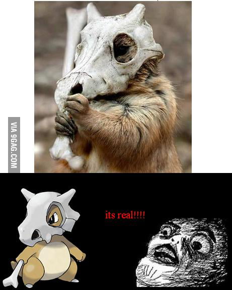 Cubone is real! - 9GAG