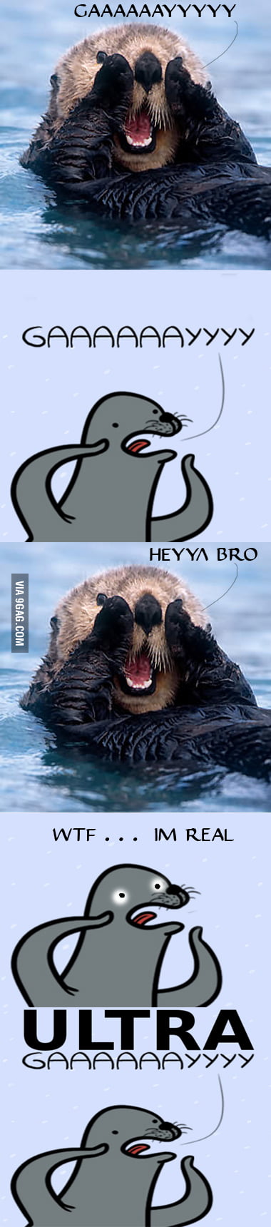GAAAYYYYY...Wait whhaaattt?? ... ULTRAA GAAAAYYYYY - 9GAG