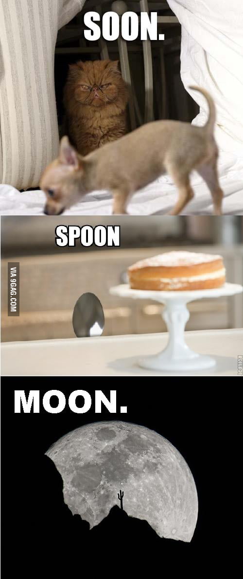 Soon I'll spoon the moon - 9GAG