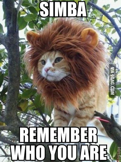 Simba, Remember Who You Are. - 9GAG