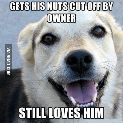 Good Dog Greg - 9GAG