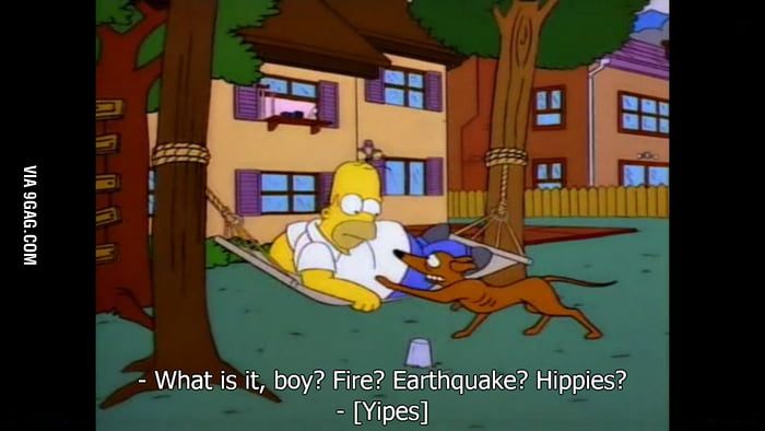 The simpsons... - 9GAG