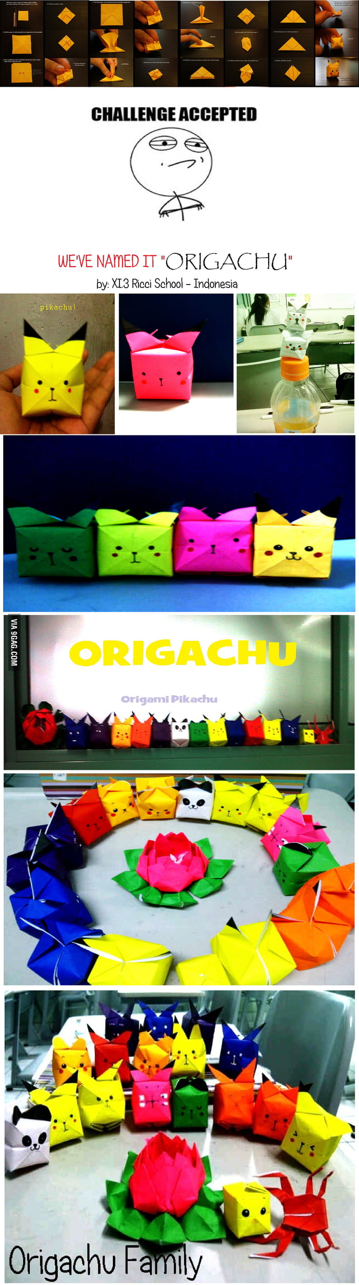 Challenge Accepted, Pika! - 9GAG