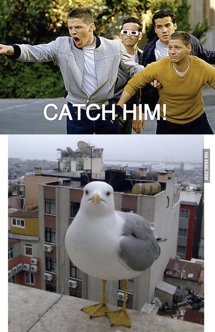 CATCH HIM! - 9GAG