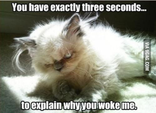 "Hey, hey, are you awake?" - 9GAG