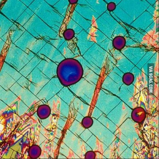 Vodka as seen under microscope - 9GAG