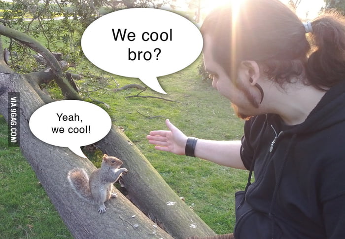 We Cool Bro? - 9GAG
