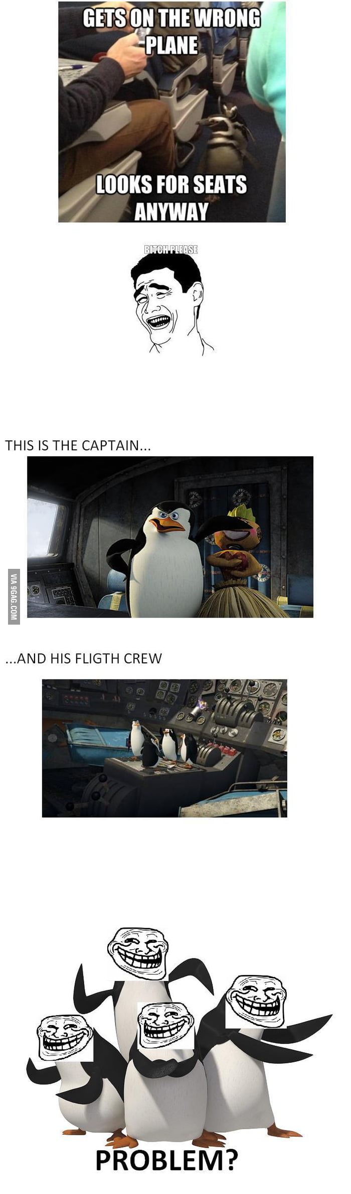 Who says penguins cant fly... an airplane? - 9GAG