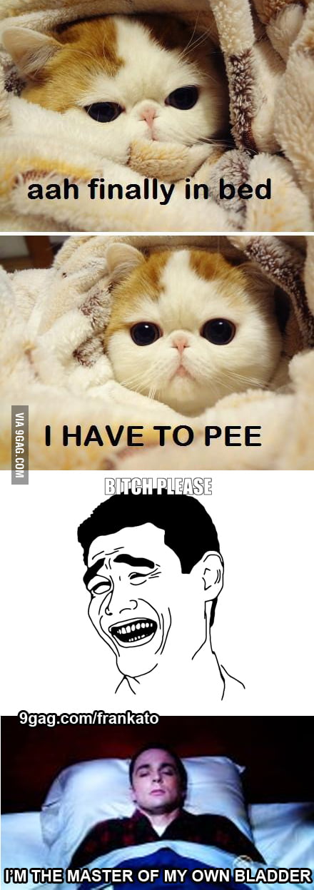 I'm the master of my own bladder - 9GAG