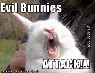 Evil bunnies - 9GAG