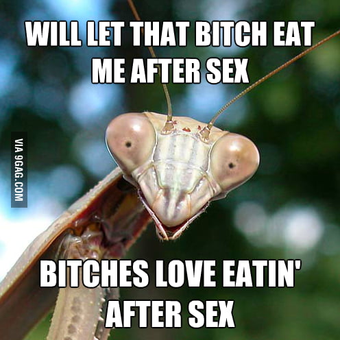 B*tches love eatin' - 9GAG