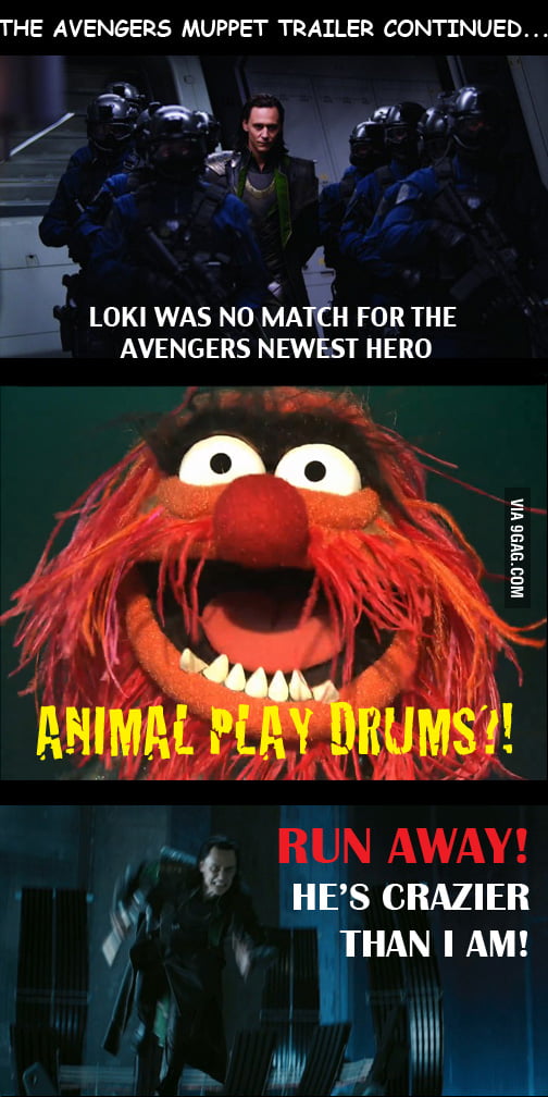 Animal the Muppet Avenger! - 9GAG
