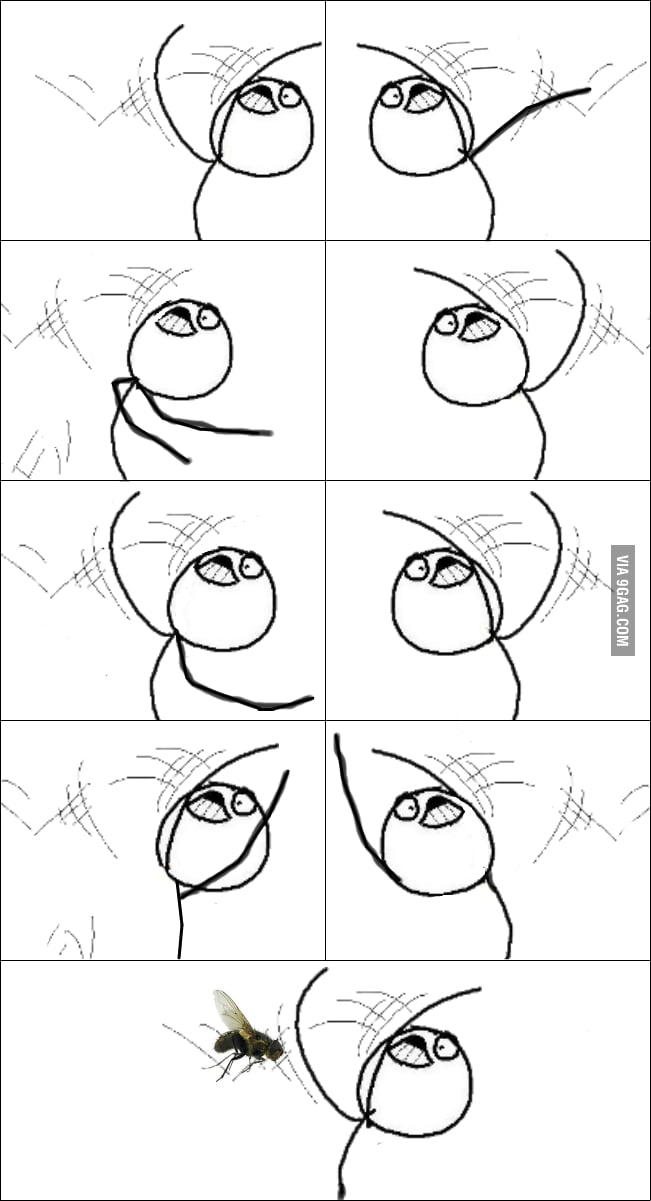 Angry Table Flip guy is angry. - 9GAG