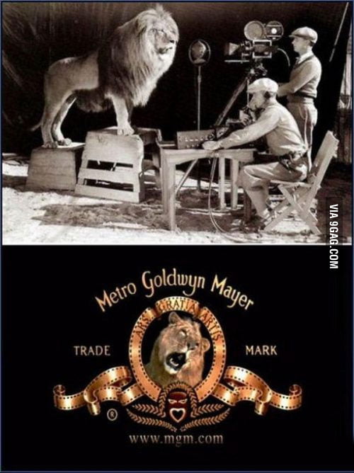 MGM "Lion Roar" Logo - 9GAG