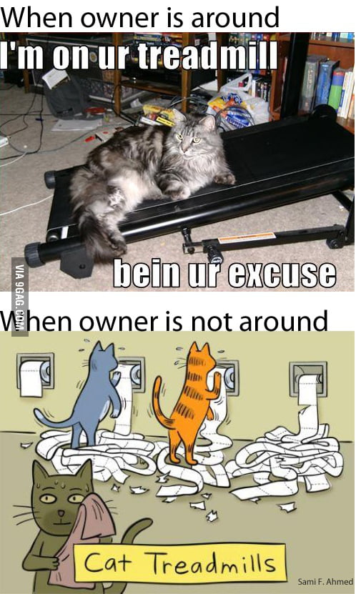 Cats Logic - 9GAG