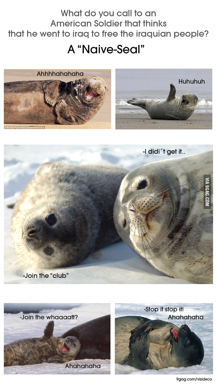"Naive-Seal" - 9GAG