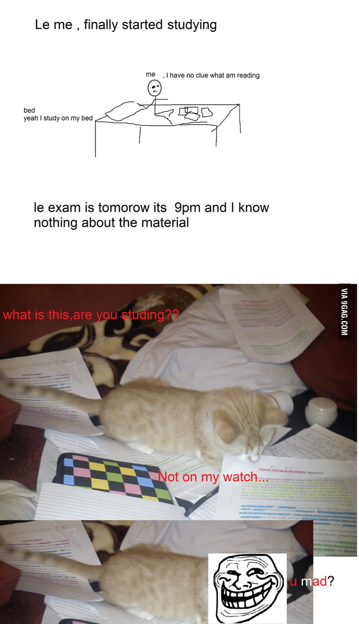 Trolling cat - 9GAG